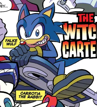 Discuss Everything About Sonic Wiki Zone | Fandom