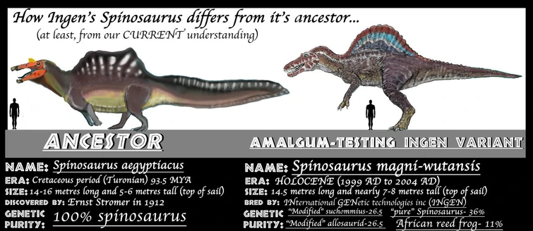 I hAvE eViDeNcE fOr My Jp3 SpInOsAuRuS cLaIm | Fandom