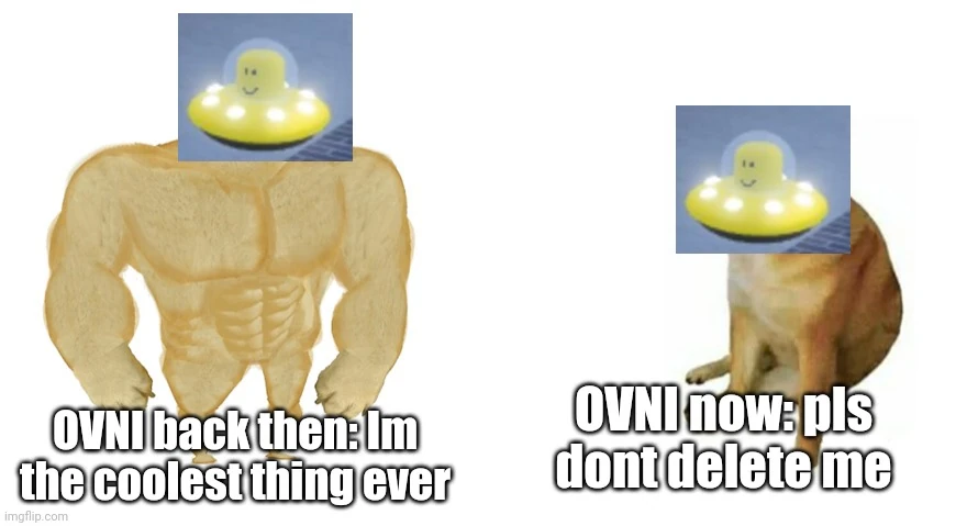 NAT Meme #4 | Fandom