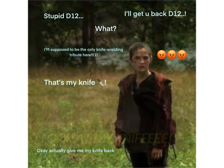 POV: Katniss Steals Clove's Knife (MEME) | Fandom