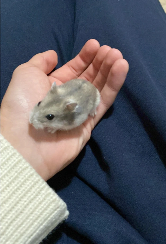 eyebleach for the people who saw the recent,, interesting post | Fandom