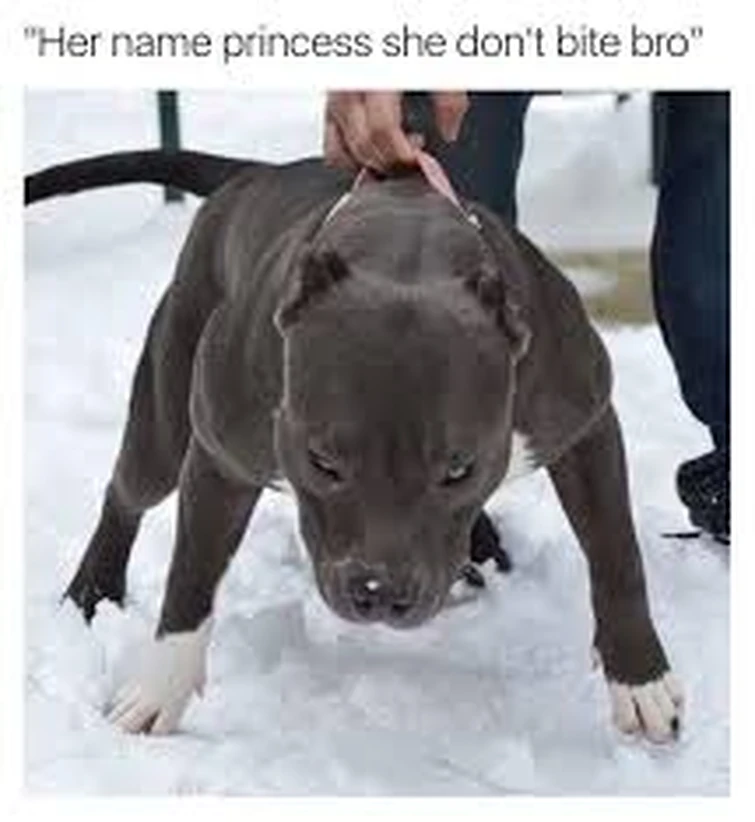 whats a creature you absolutely HAVE to leave alone when kosing due to ...