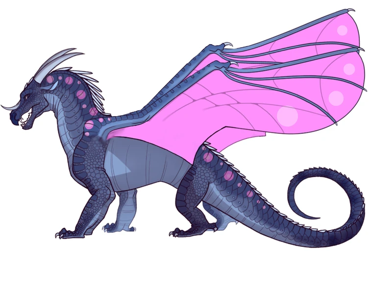 Discuss Everything About Wings of Fire Wiki | Fandom