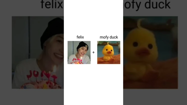 felix shorts scroll threw them cause theres like 10 of them ☠ but their ...