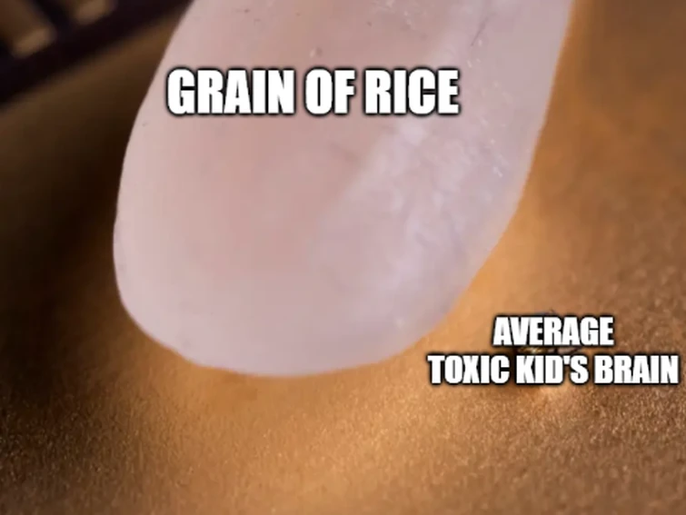 Daily Dose of Memes #147 - #152 | Fandom
