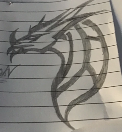 Raahhh dragon 🐉 | Fandom