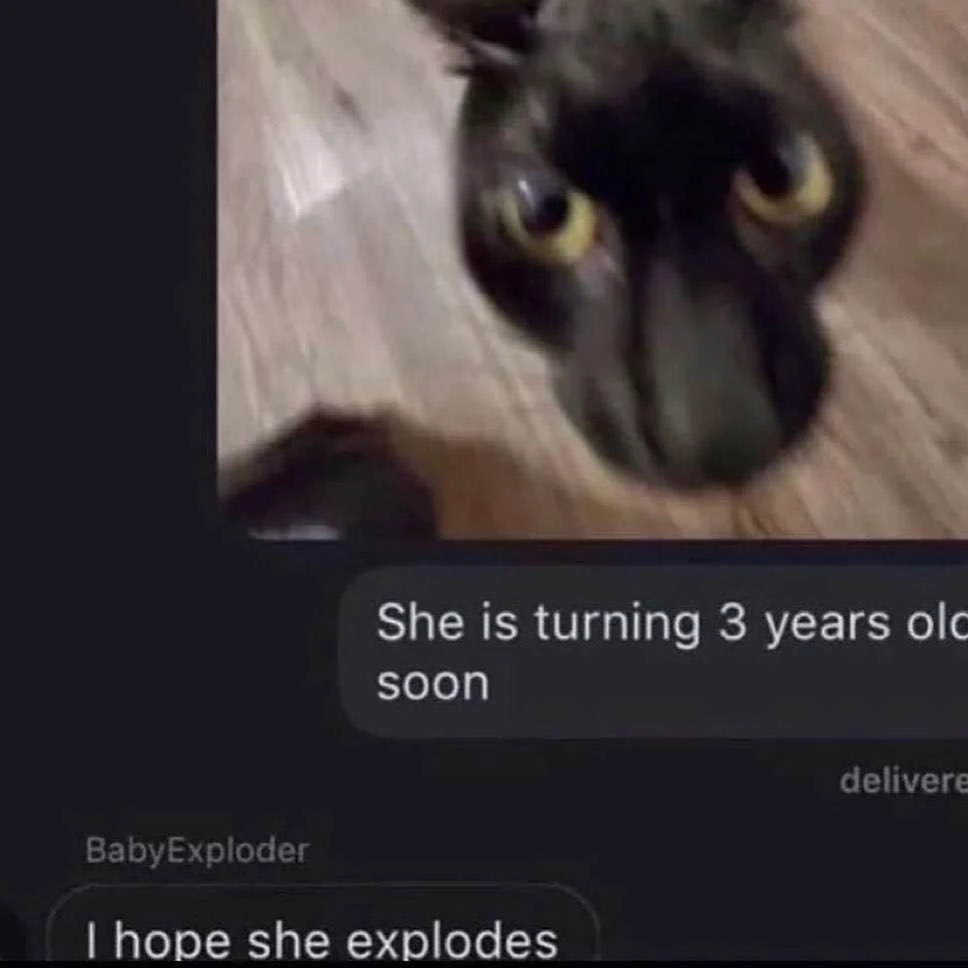 daily meme #256: explode | Fandom