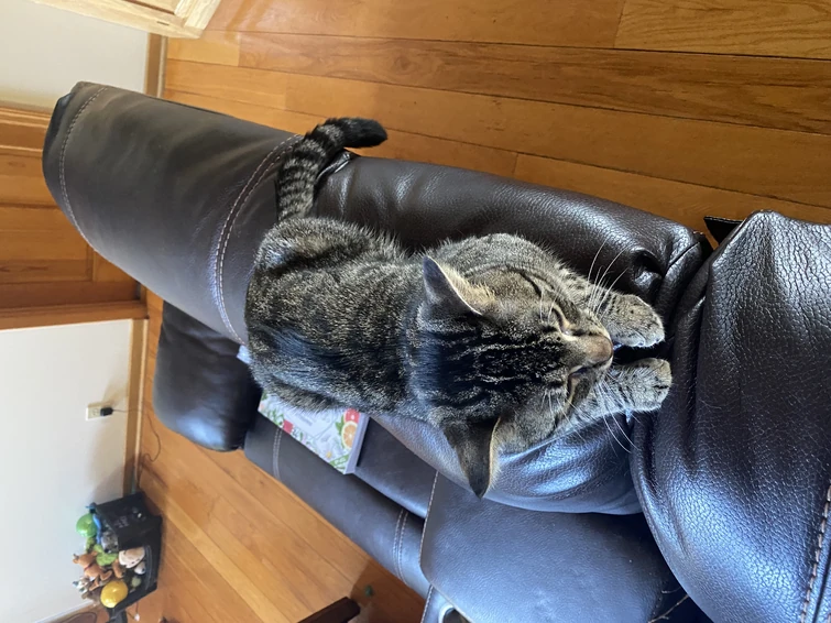 nahhhh god done added spicy bee IRL | Fandom