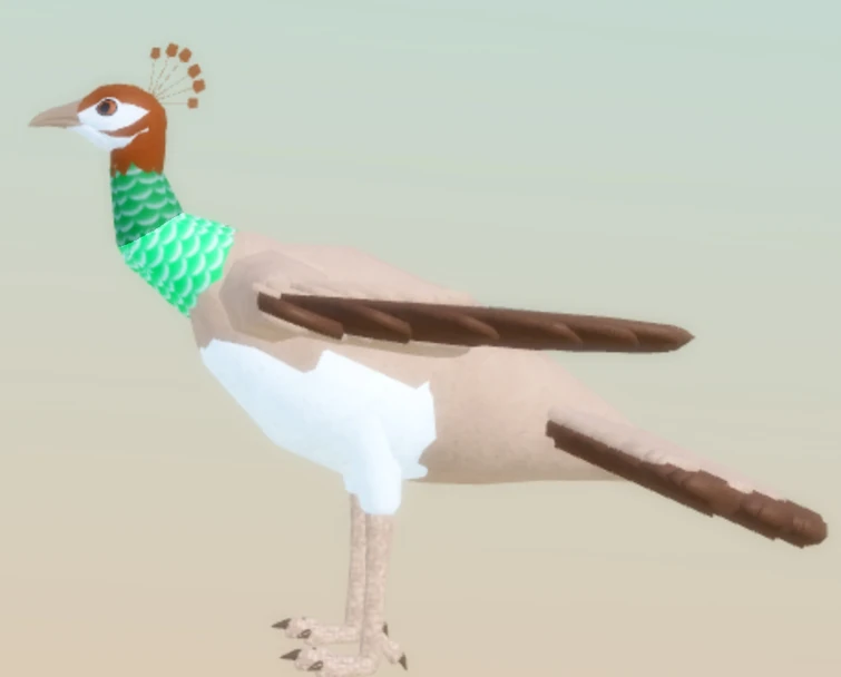 Discuss Everything About Feather Family Wiki | Fandom