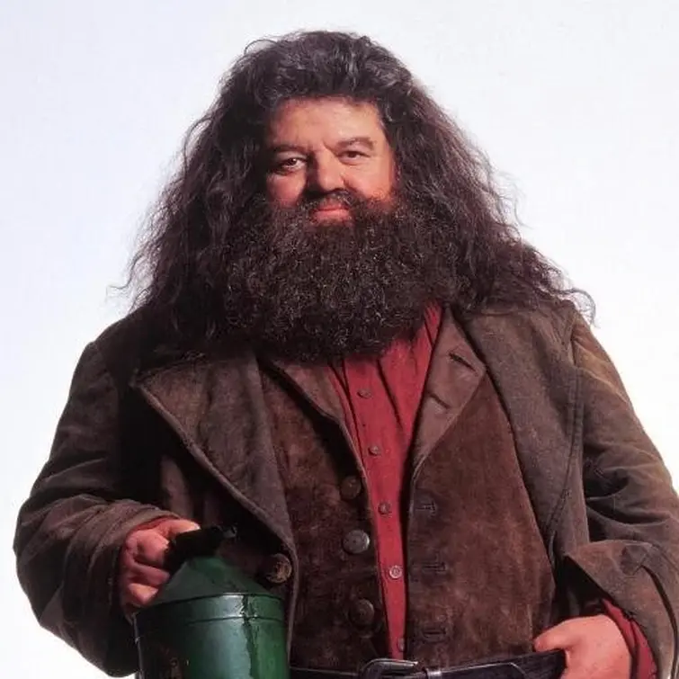 NPG proposal: Hagrid from Harry Potter | Fandom
