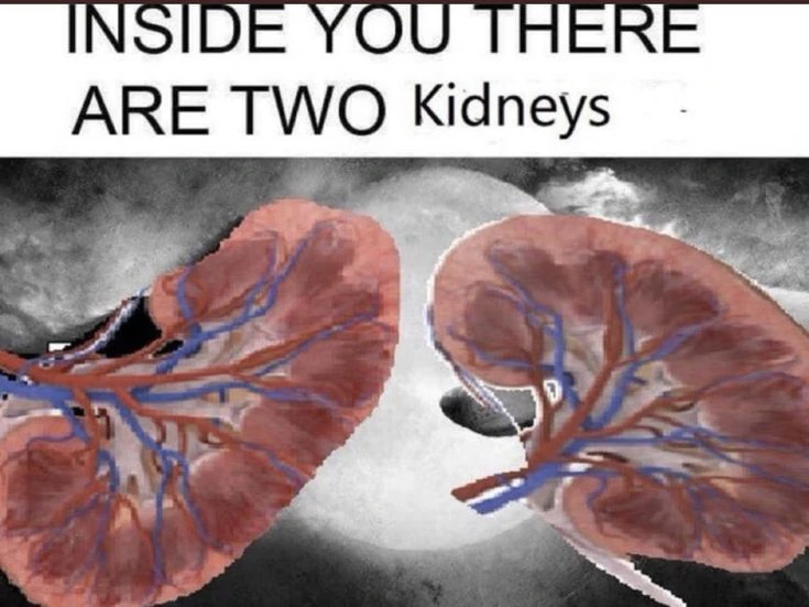 I am ballin I am faded | Fandom