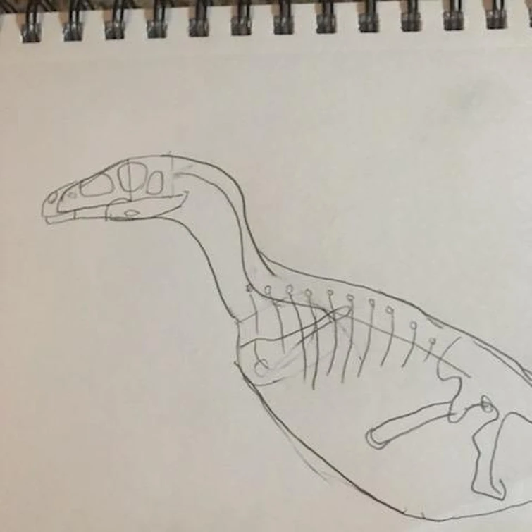 How to draw dinosaurs | Fandom