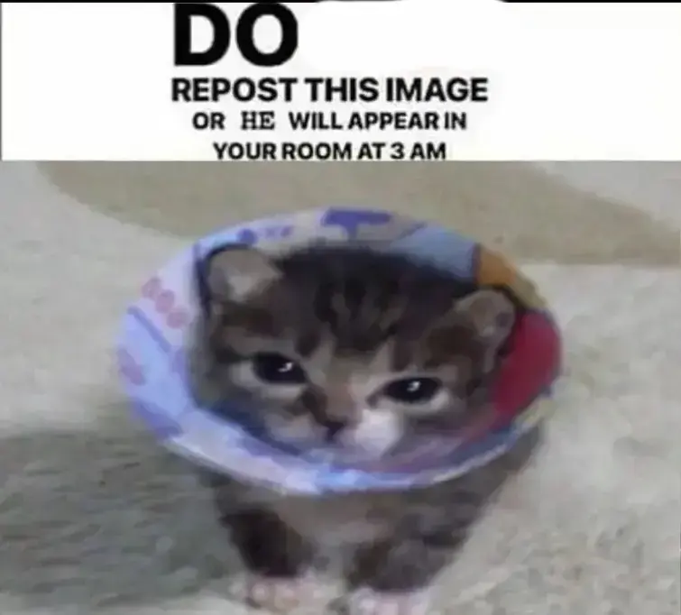 im warning you | Fandom