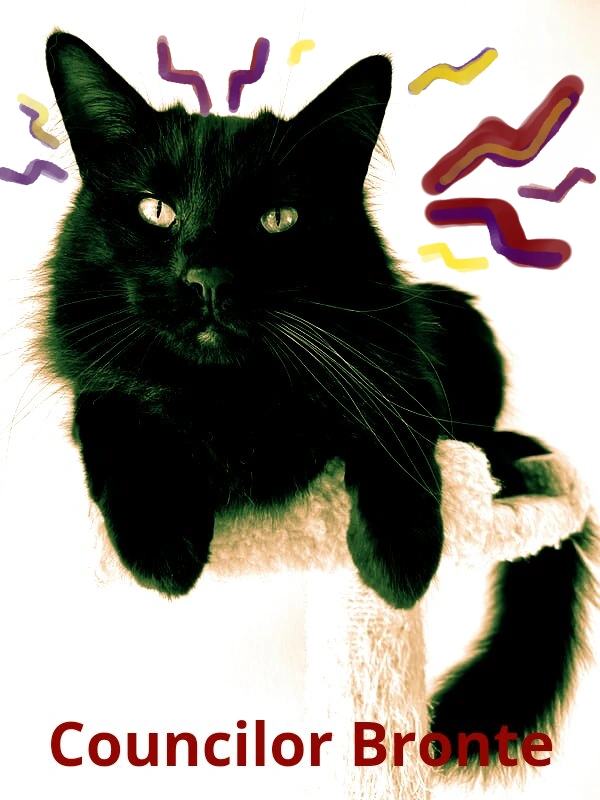 Keeper Cats pt.2 | Fandom