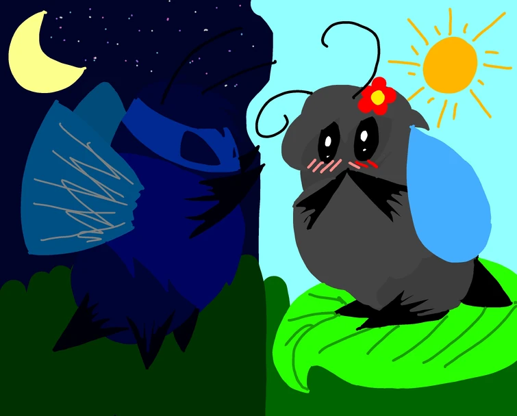 Ninja and Shy bee | Fandom