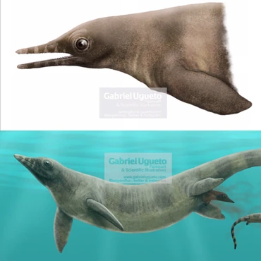 Discuss Everything About Dinopedia | Fandom