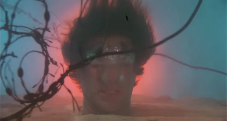 Creepshow (1982) KILL COUNT | Fandom