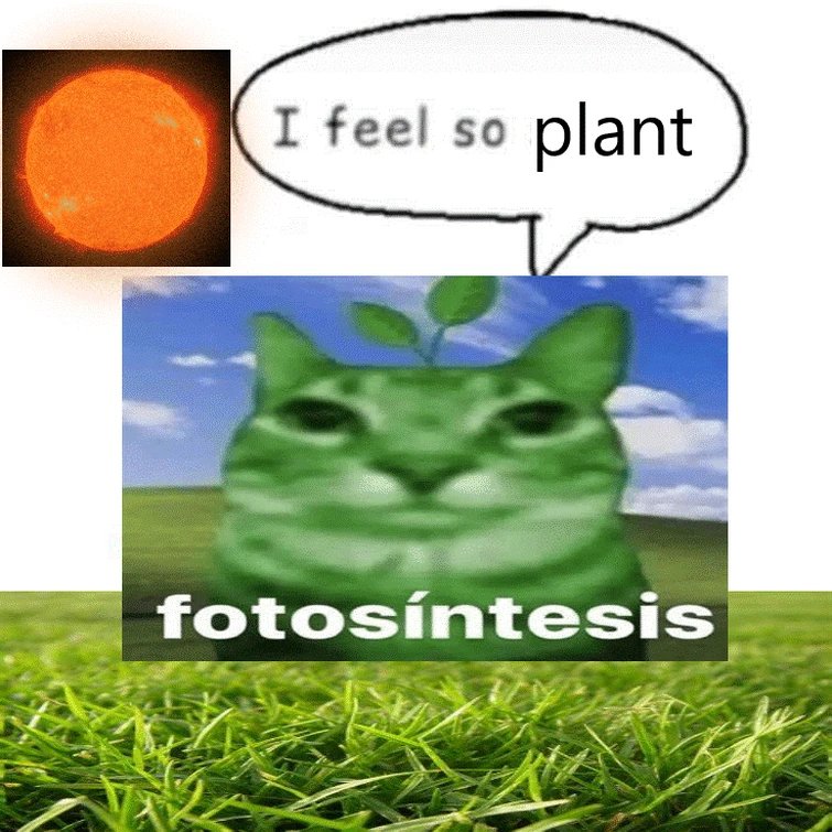 Shitpost #18 | Fandom