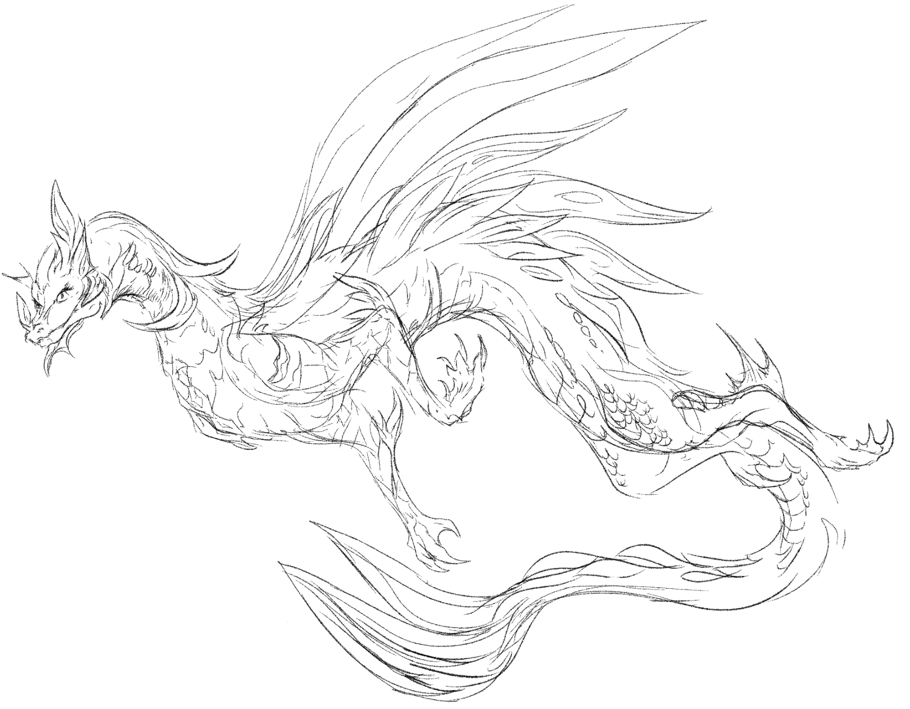 A bunch of 5-minute genshin dragon sketches | Fandom