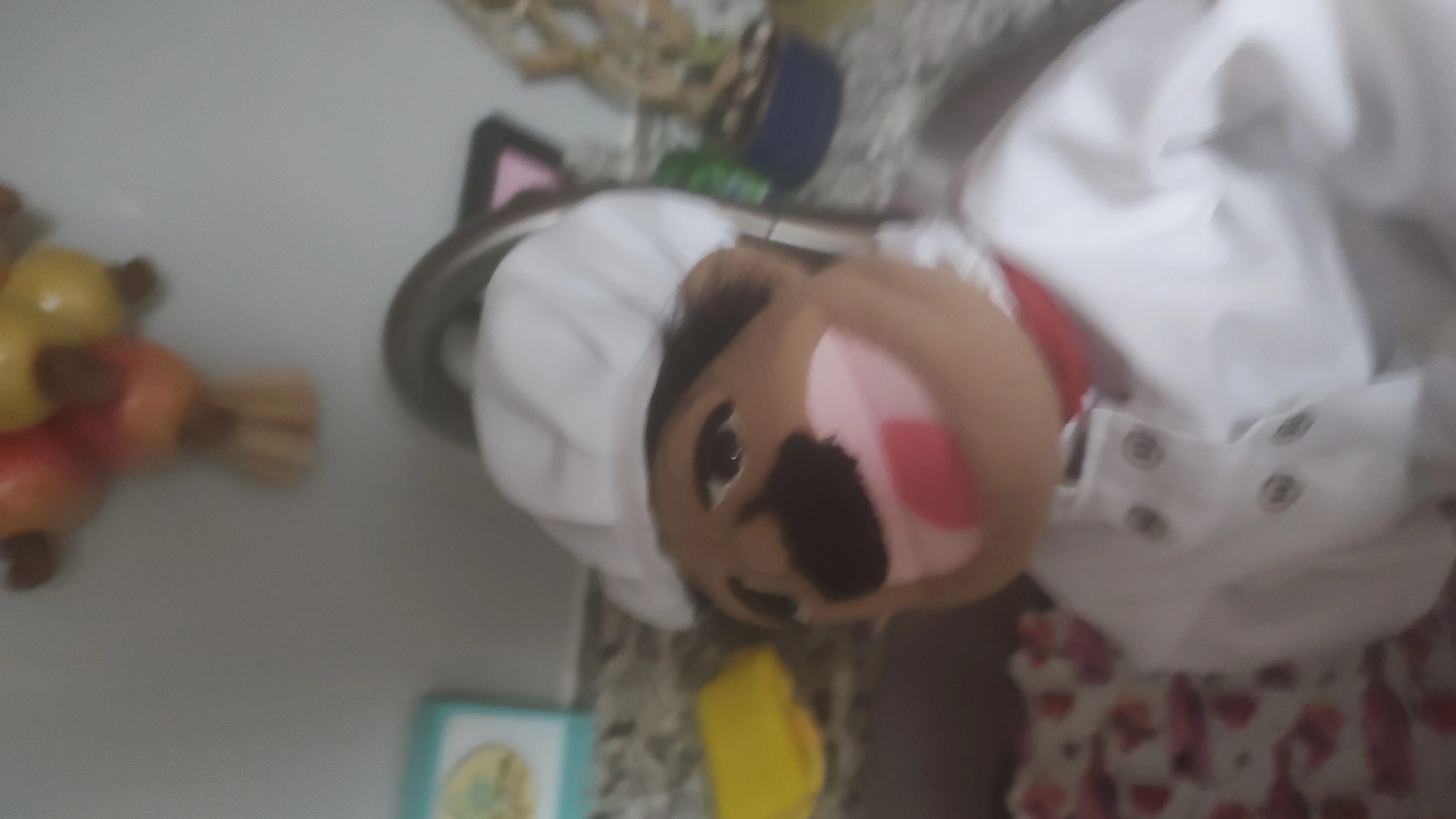 My aunt just bought me a chef pee pee puppet | Fandom