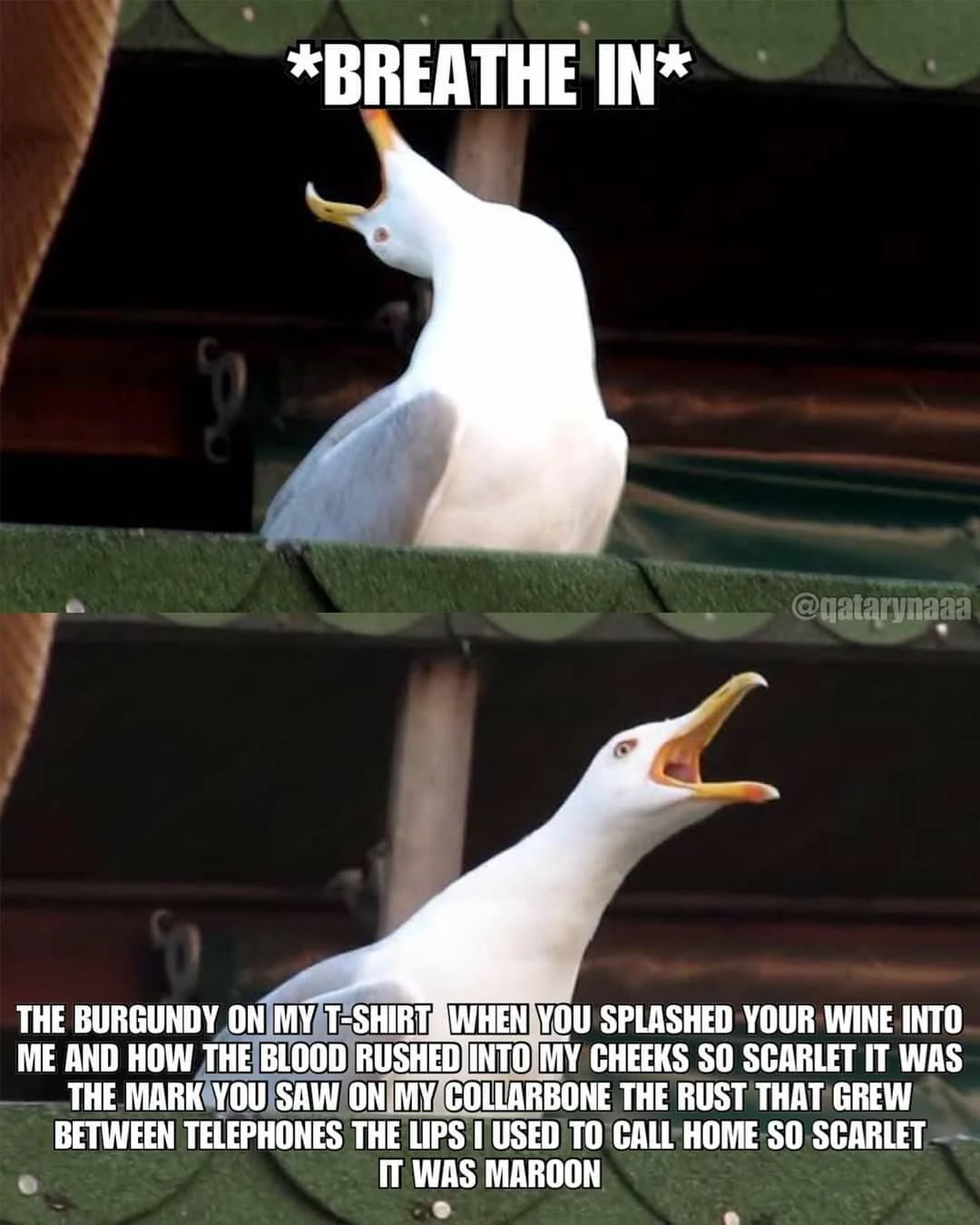 Maroon 😚👌 | Fandom