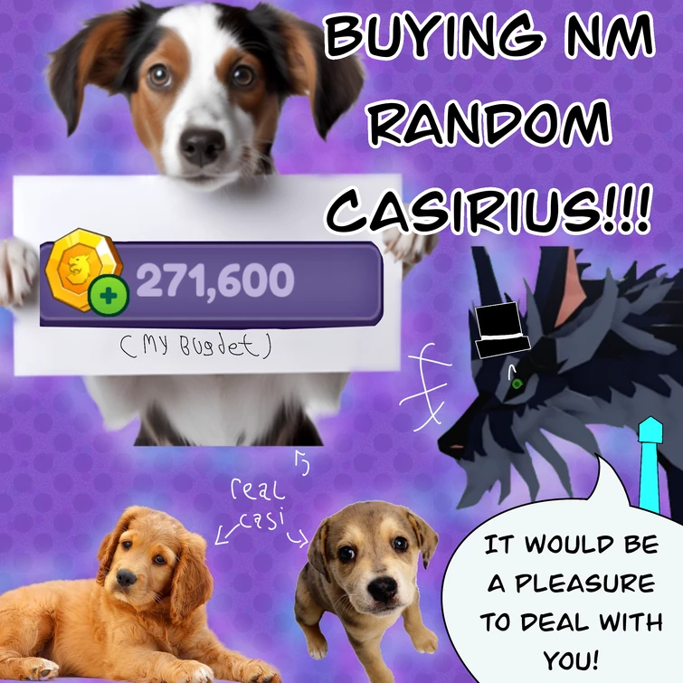 Buying NM Random Casirius! | Fandom