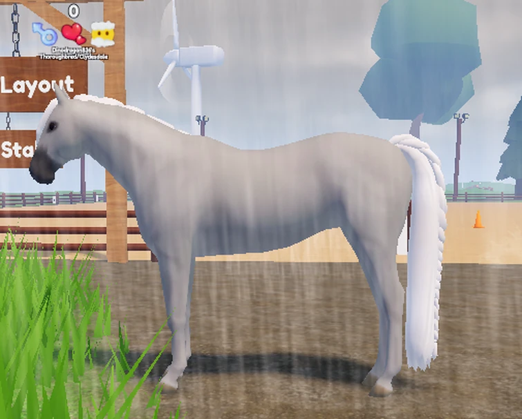 What color tack should i get for these horses? | Fandom