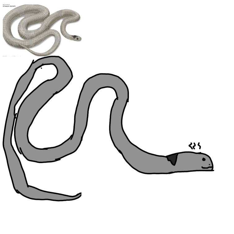 I had a dream with peril snake in it | Fandom