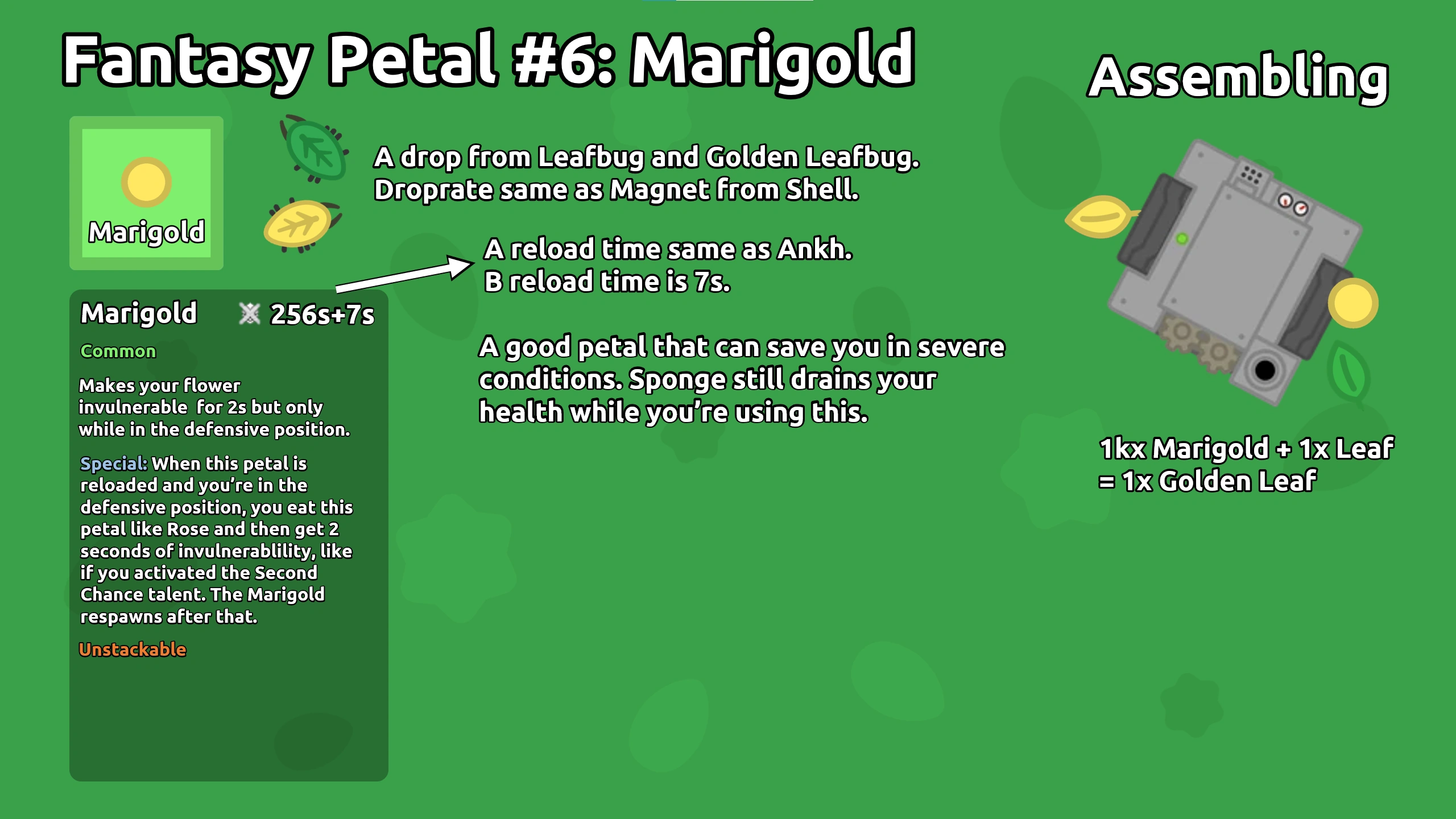 The Coral Movement is not dead | Fandom