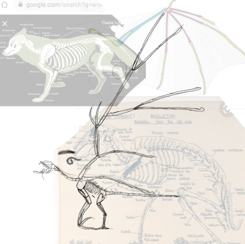 Skeleton progress | Fandom