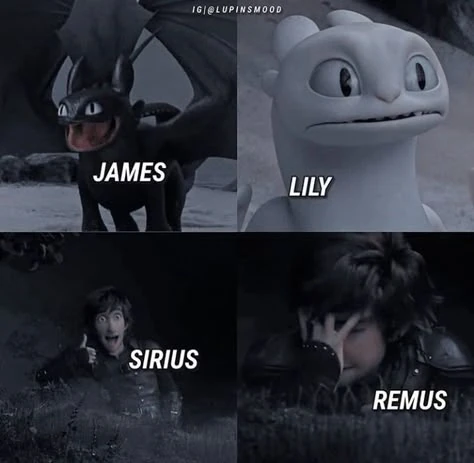 marauder meme :D | Fandom