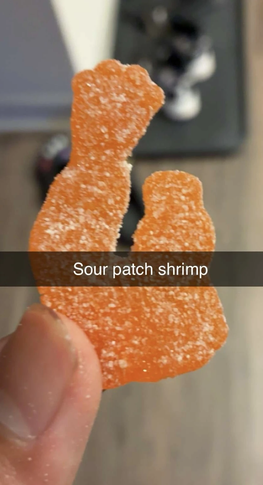 Sour patch shrimp | Fandom