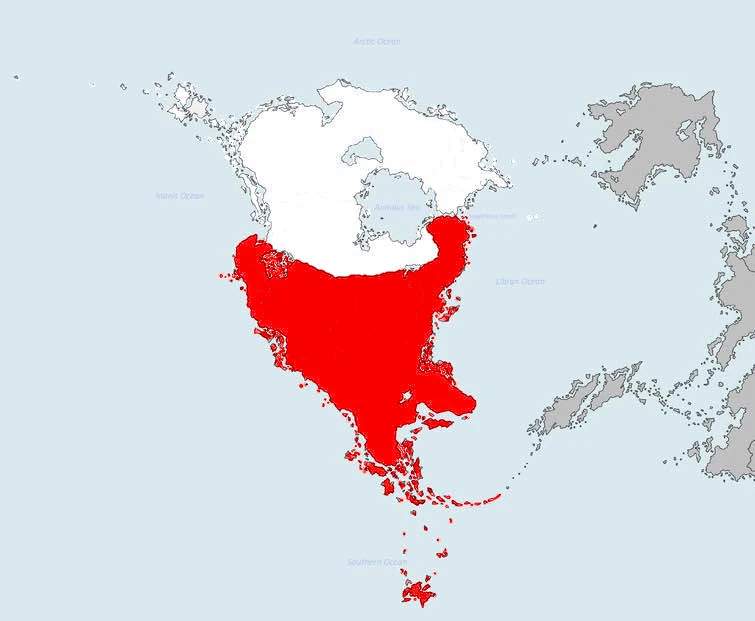 Discuss Everything About Centaura Wiki | Fandom