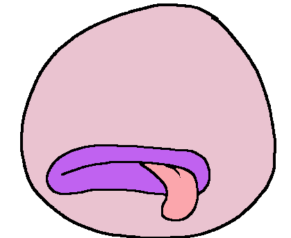 bald maw | Fandom