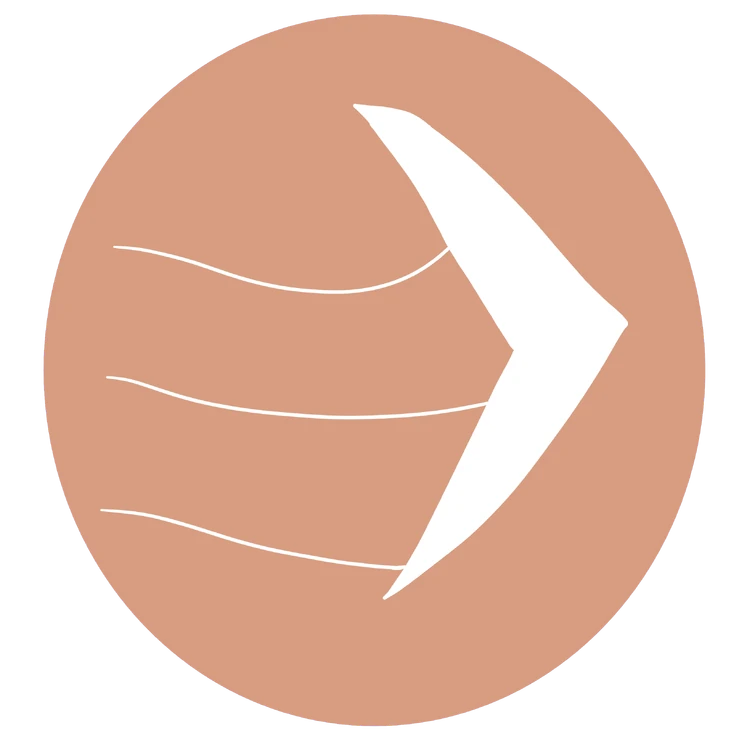 Discuss Everything About Boomerang Fu Wiki | Fandom