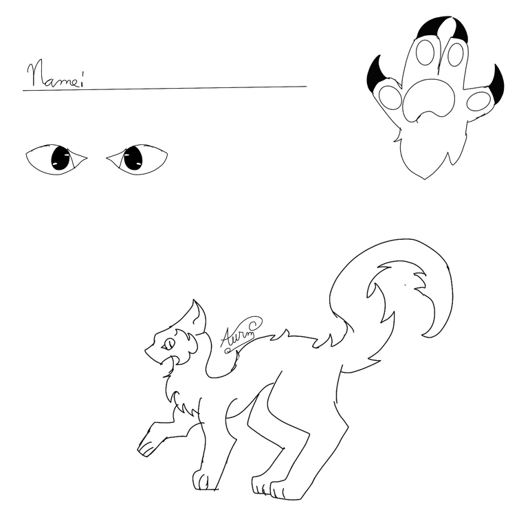 Cat bases for all your cat needs! | Fandom