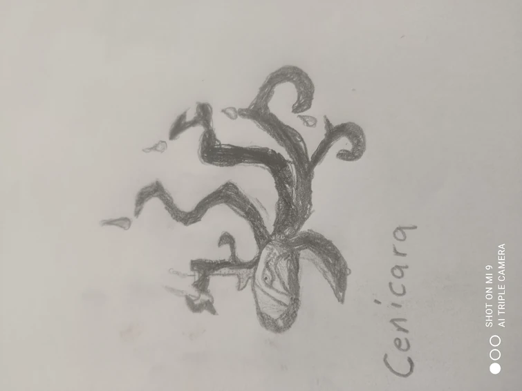 Finished Cenicara drawing! | Fandom