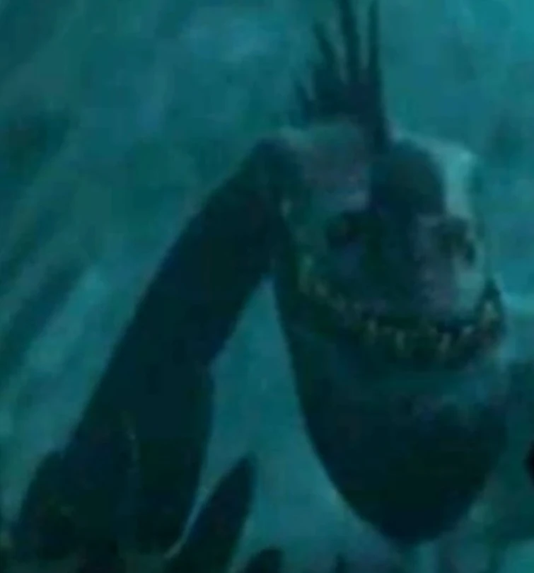 What information would you give to the Unknown Dragons? | Fandom