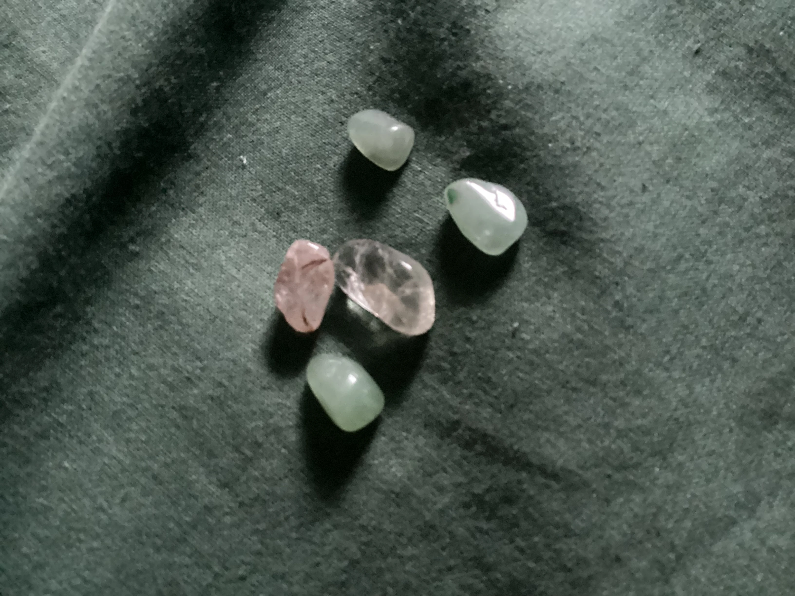 The forbidden jelly beans | Fandom