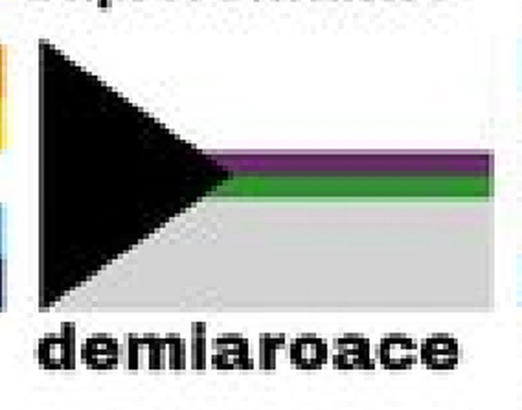 What would you call someone that is demiromantic and demisexual? | Fandom