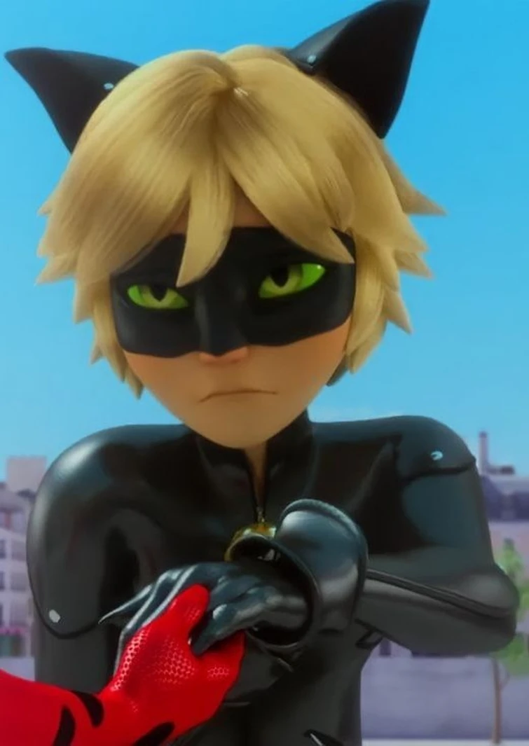 Why is Cat Noir scared of everything? (Wrong answers only) | Fandom
