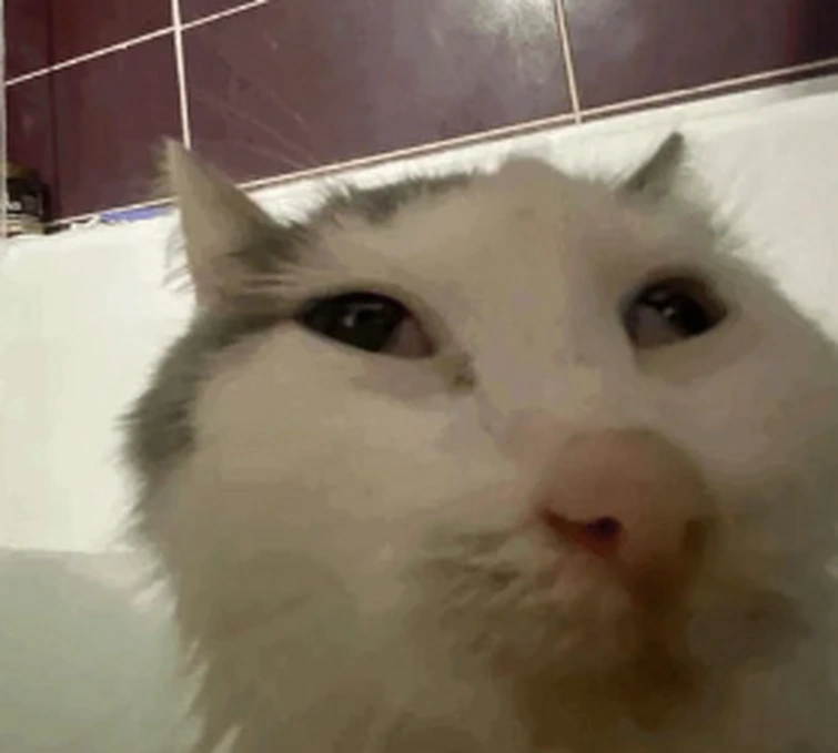 Dandy's world characters in a nutshell as emojis | Fandom