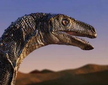 Discuss Everything About Dinopedia | Fandom