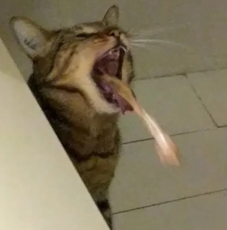 Creamheroes Memes | Fandom