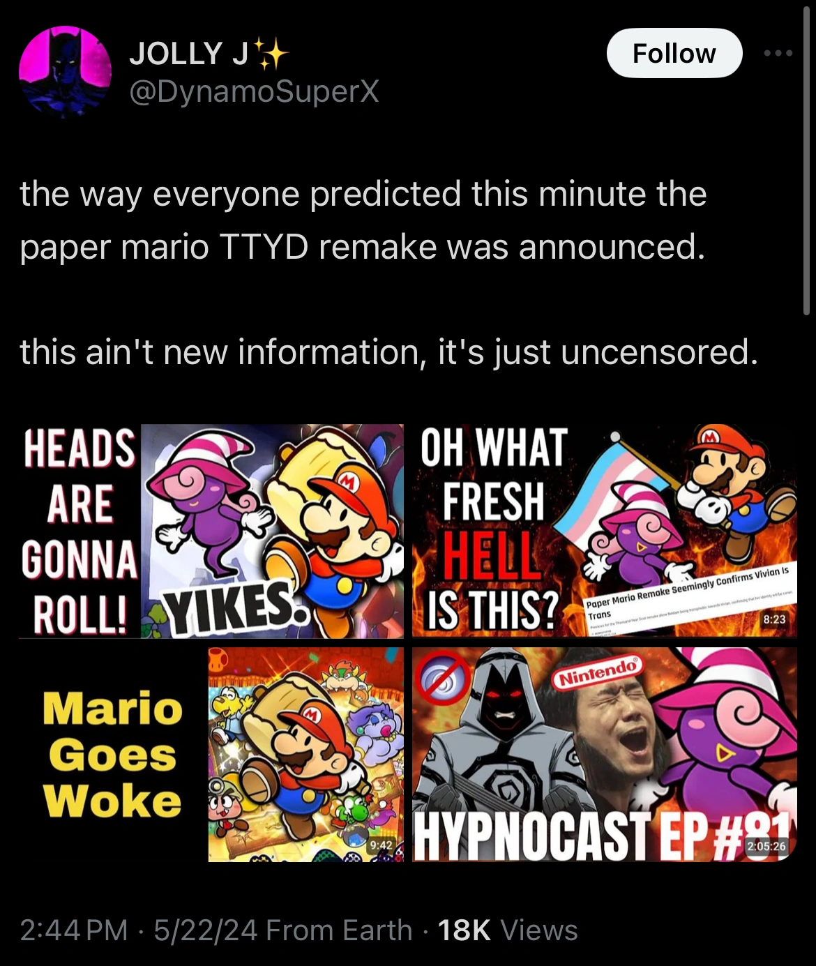 Paper Mario TTYD WOKE?! | Fandom