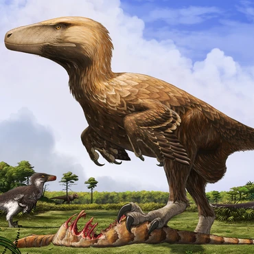 Discuss Everything About Dinopedia | Fandom