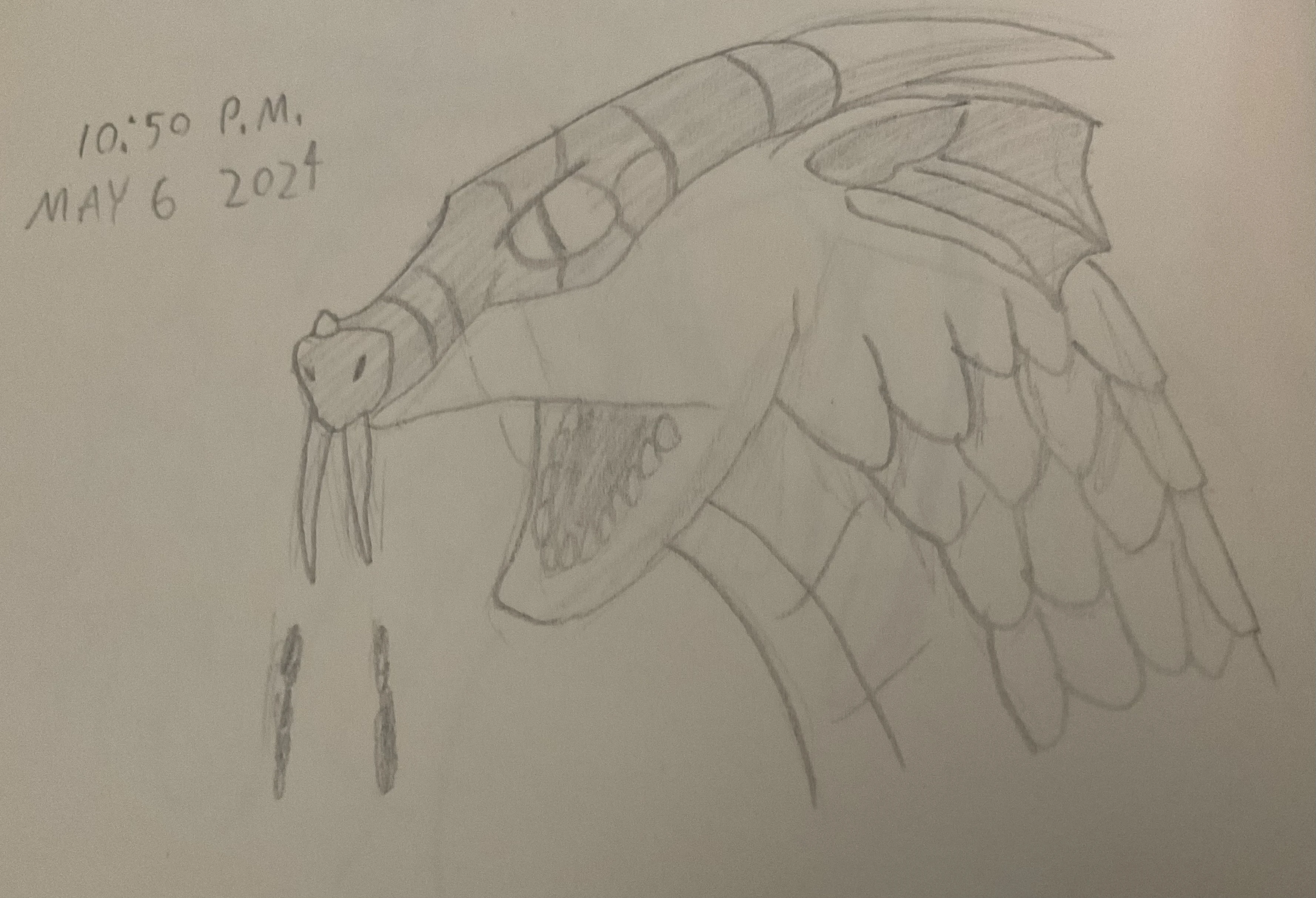 Drawing a RainWing spitting venom every day until im decent at it day 4 ...