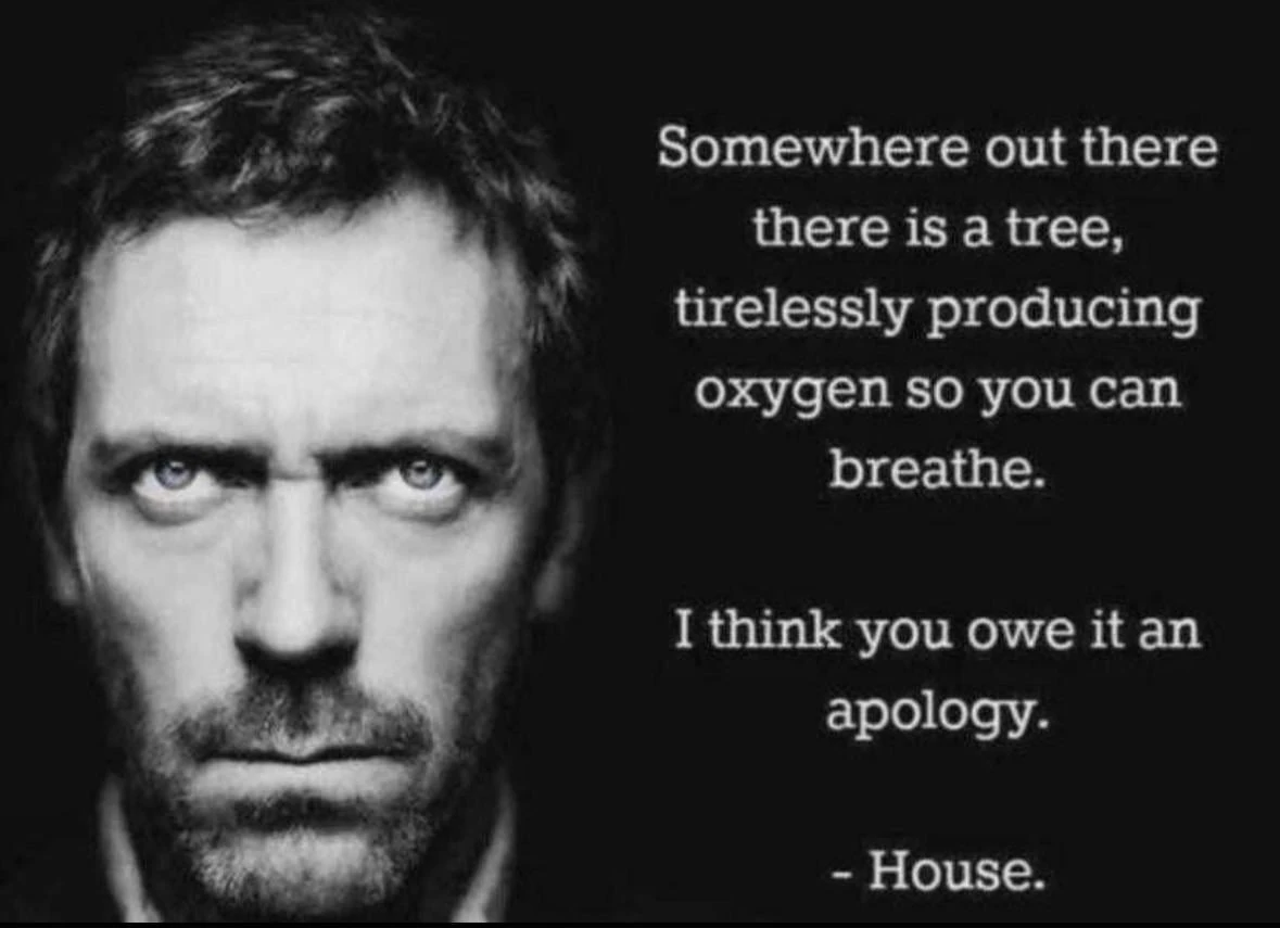 Sum meme i found | Fandom