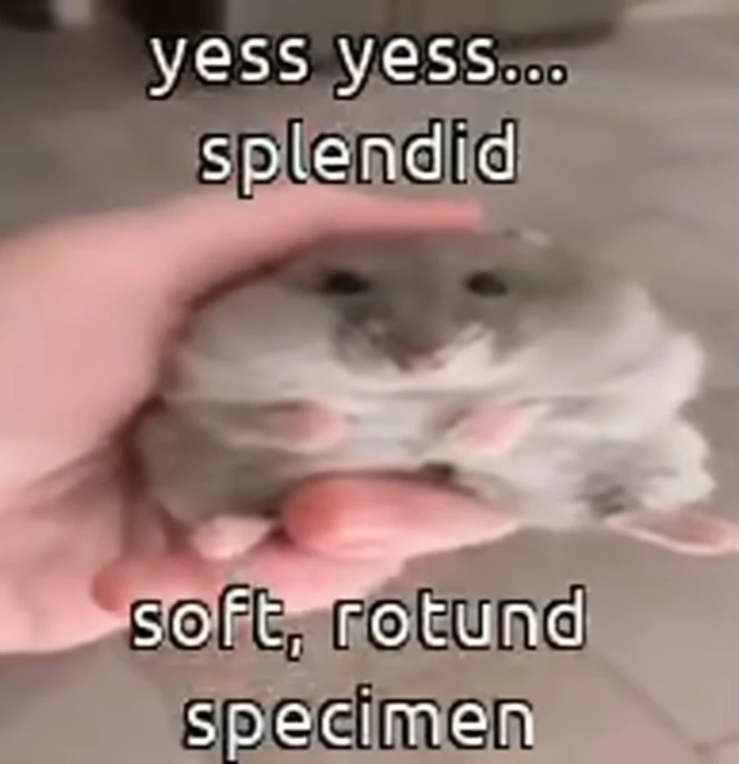 Very splendid | Fandom