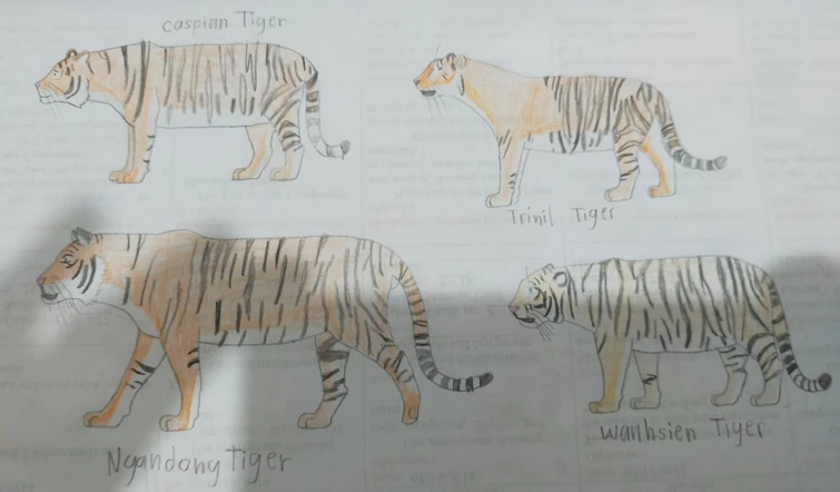 Prehistoric Tigers | Fandom